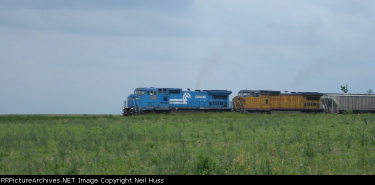 Racing through the fields
